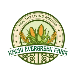 🛢️ Palm Oil - Kachi Evergreen Farm